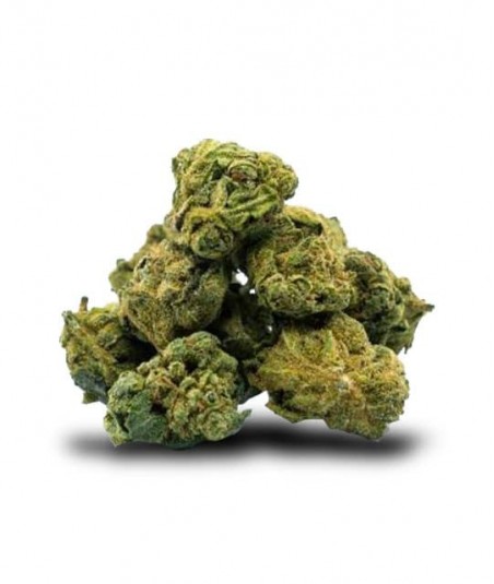 Fleurs Small Bud CBD | HolyPote